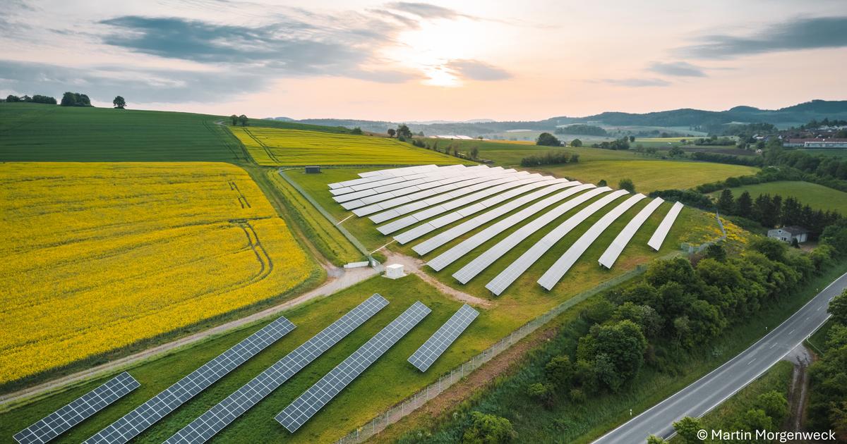 PohlCon Solar: New website online | PohlCon – Partner from start to future.